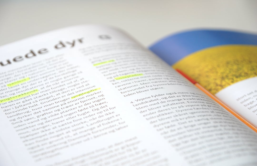 My Daily Routine To Learn And Practice Danish Learn Danish